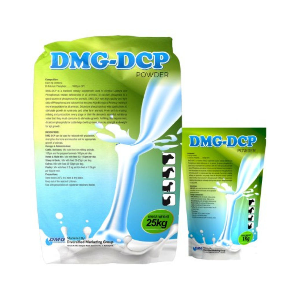 DMG DCP Powder - Pivotal